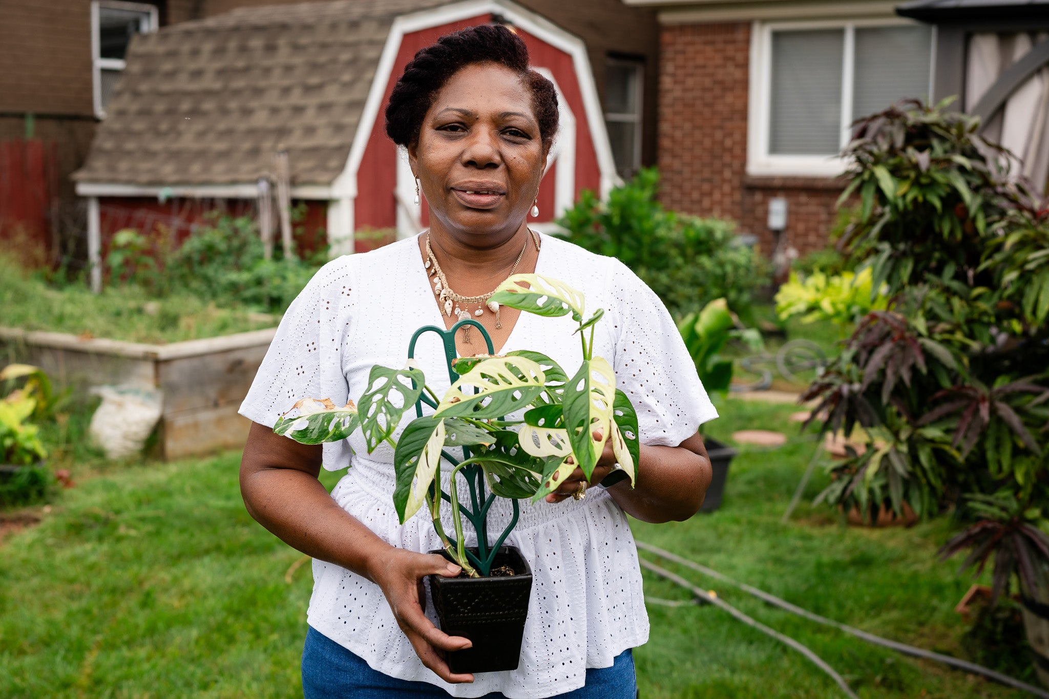 Our Story – Alma Fine Roots